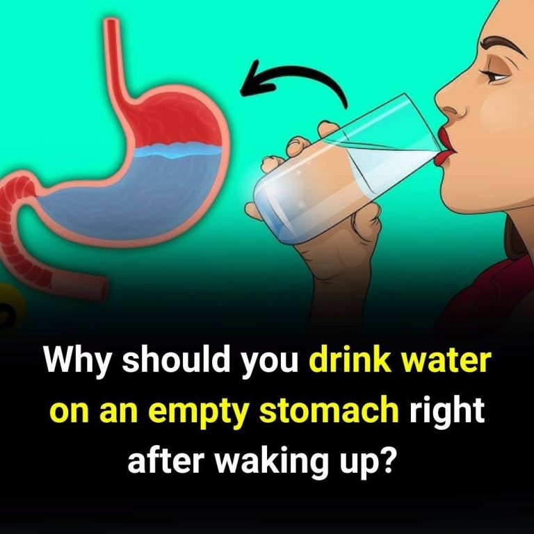 Why You Should Drink Water on an Empty Stomach Right After Waking Up – Yum Recipes