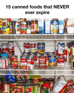 15 canned foods that NEVERever expire – Yum Recipes