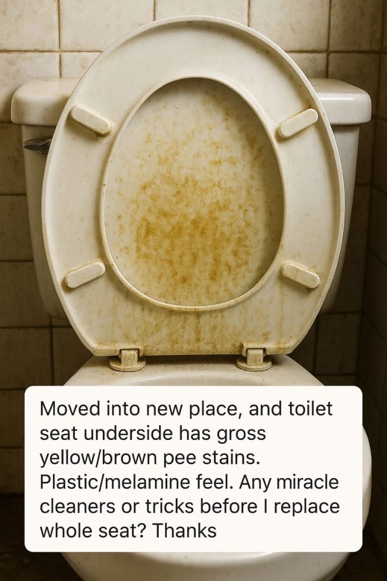 The Ultimate Guide to Removing Yellow/Brown Urine Stains from the ...