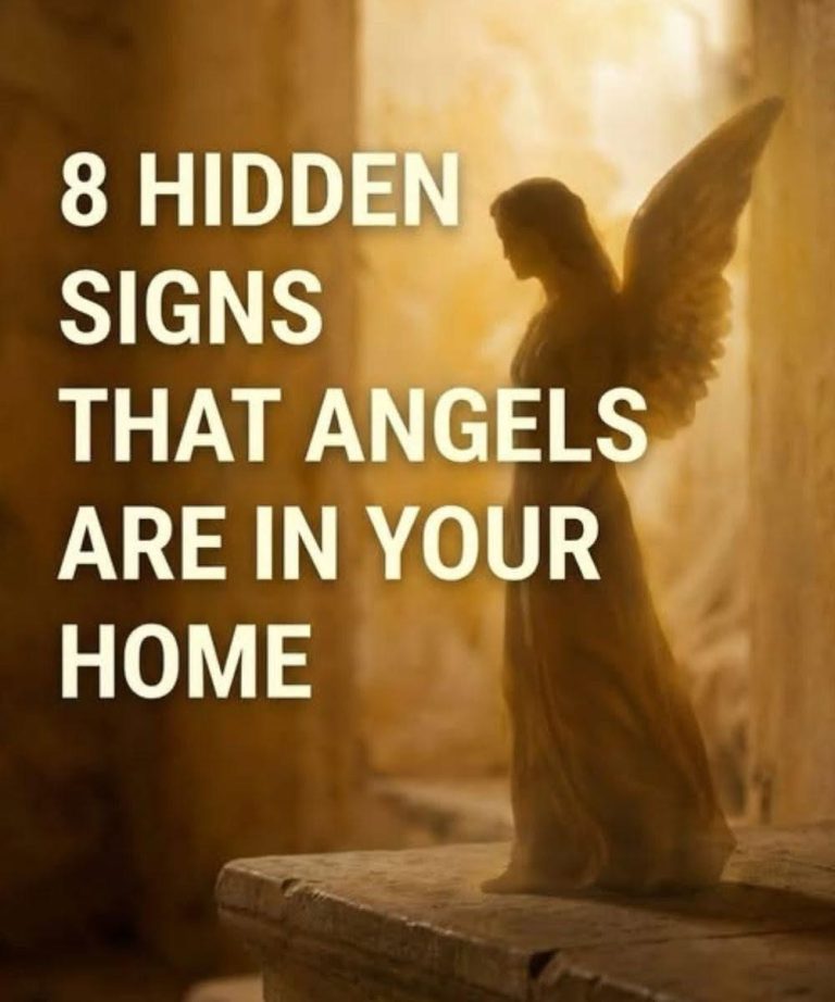 8 Gentle Signs Some Believe Angels May Be Near Your Home – Yum Recipes