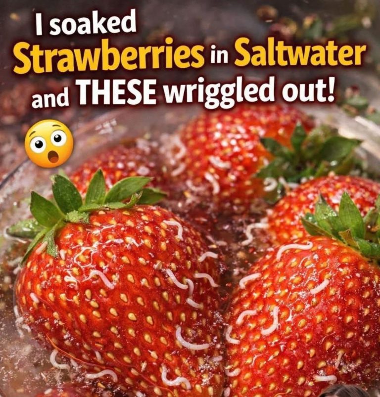 Salt Water Strawberry Cleaning Method (Why Those Little White Worms ...