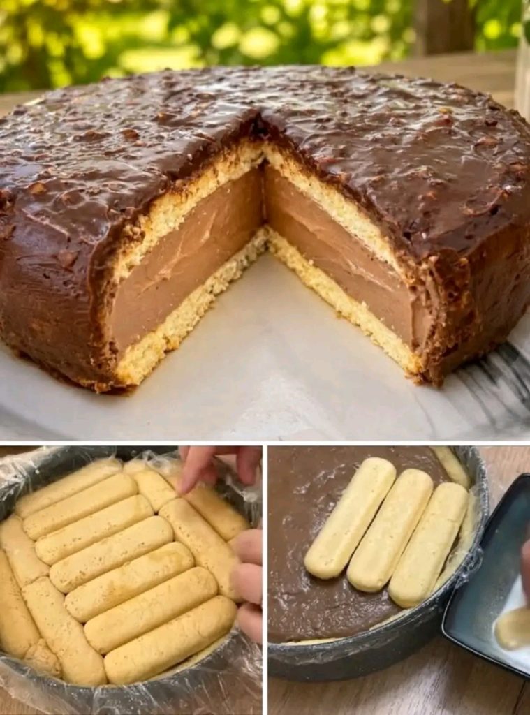 Decadent Chocolate Mousse Cake with Ladyfingers – Yum Recipes